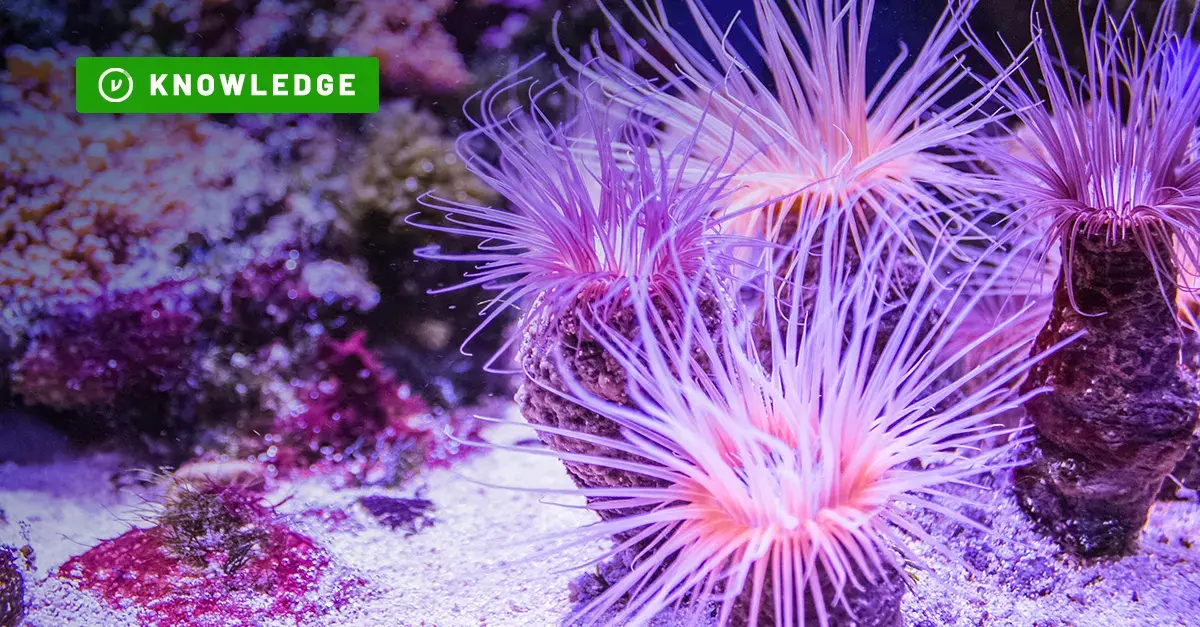 The Complete Guide to File Encryption: 2024 Update